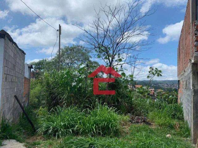 Terreno / Lote para Venda em Cotia/SP Jardim Araruama