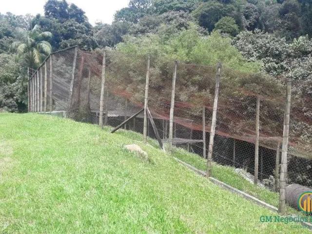Terreno / Lote para Venda em Cotia/SP Jardim Arco Íris