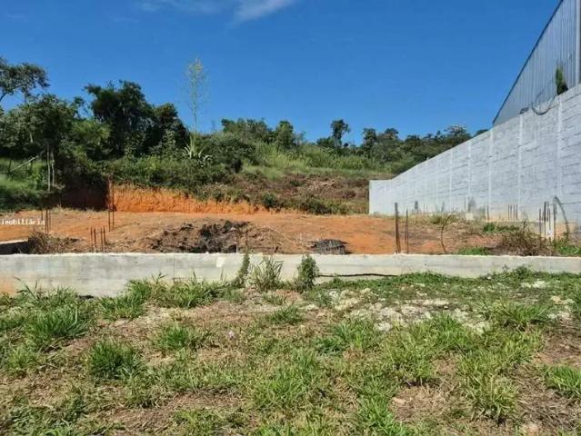 Terreno / Lote para Venda em Cotia/SP Jardim Barbacena