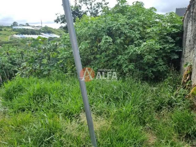 Terreno / Lote para Venda em Cotia/SP Jardim Barro Branco