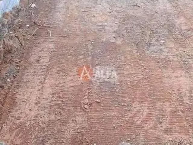 Terreno / Lote para Venda em Cotia/SP Jardim da Glória