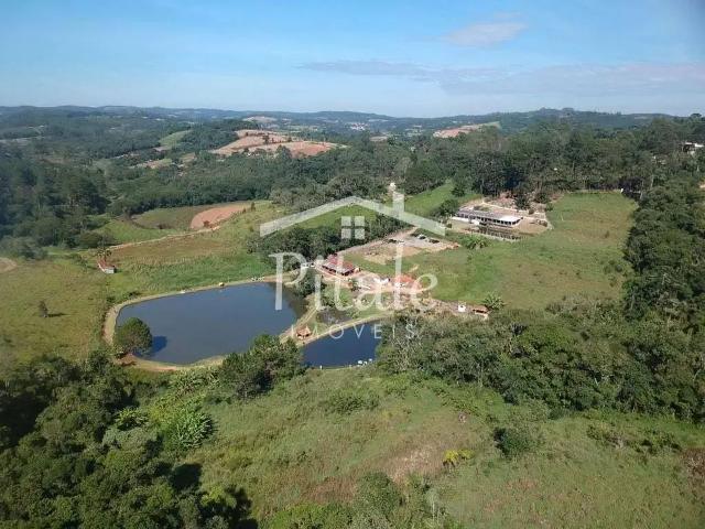 Terreno / Lote para Venda em Cotia/SP Jardim das Graças