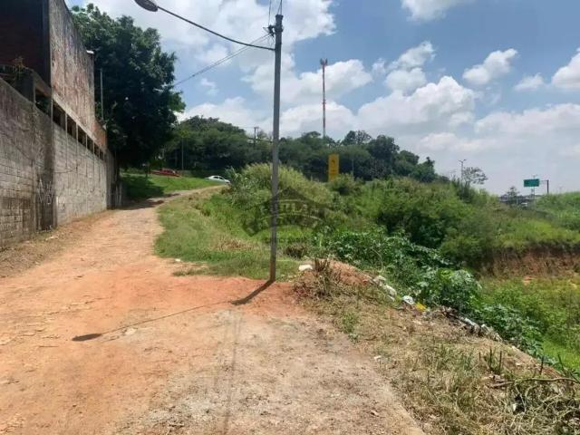 Terreno / Lote para Venda em Cotia/SP Jardim dos Ipês