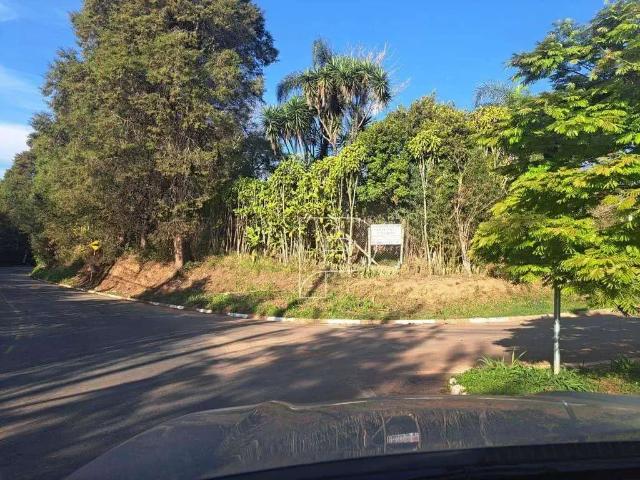 Terreno / Lote para Venda em Cotia/SP Jardim dos Ipês