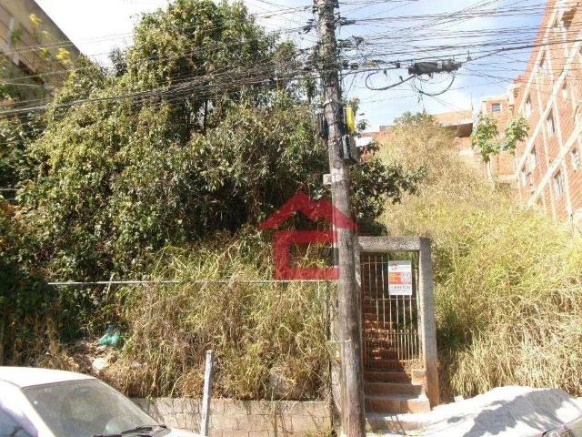 Terreno / Lote para Venda em Cotia/SP Jardim Leonor