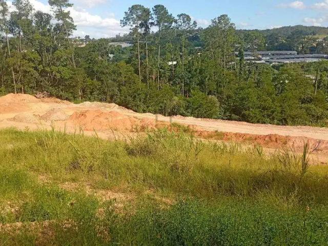 Terreno / Lote para Venda em Cotia/SP Jardim Lina