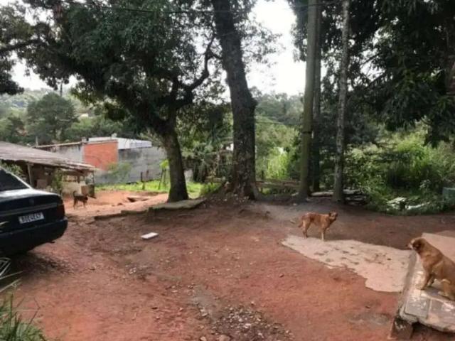 Terreno / Lote para Venda em Cotia/SP Jardim Maria Tereza