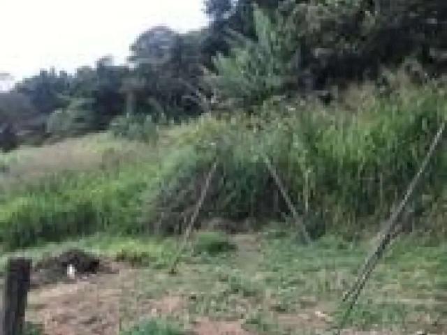 Terreno / Lote para Venda em Cotia/SP Jardim Maria Tereza