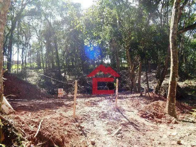Terreno / Lote para Venda em Cotia/SP Jardim Museu