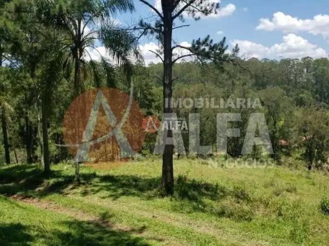 Terreno / Lote para Venda em Cotia/SP Jardim Museu