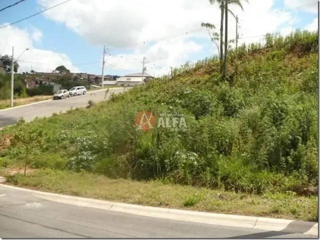Terreno / Lote para Venda em Cotia/SP Jardim Panorama