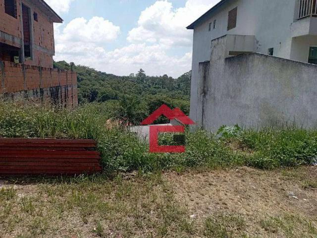 Terreno / Lote para Venda em Cotia/SP Jardim Rio das Pedras
