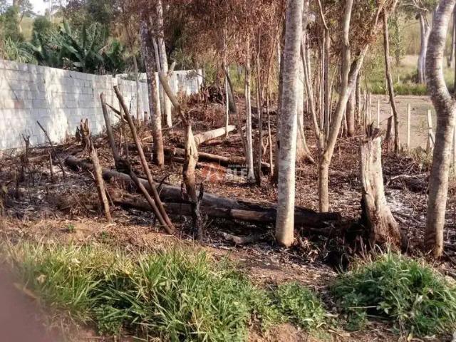 Terreno / Lote para Venda em Cotia/SP Jardim São Luiz Caucaia do Alto