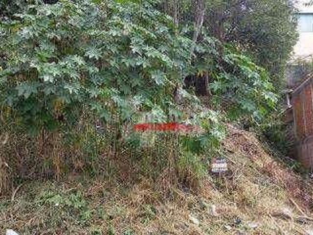 Terreno / Lote para Venda em Cotia/SP Jardim São Vicente