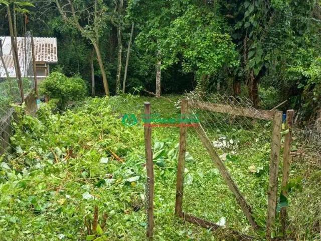 Terreno / Lote para Venda em Cotia/SP Jardim Santa Paula