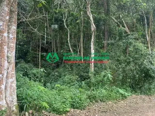 Terreno / Lote para Venda em Cotia/SP Jardim Santa Paula