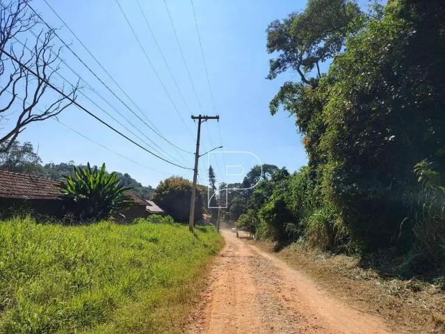 Terreno / Lote para Venda em Cotia/SP Jardim Santa Paula