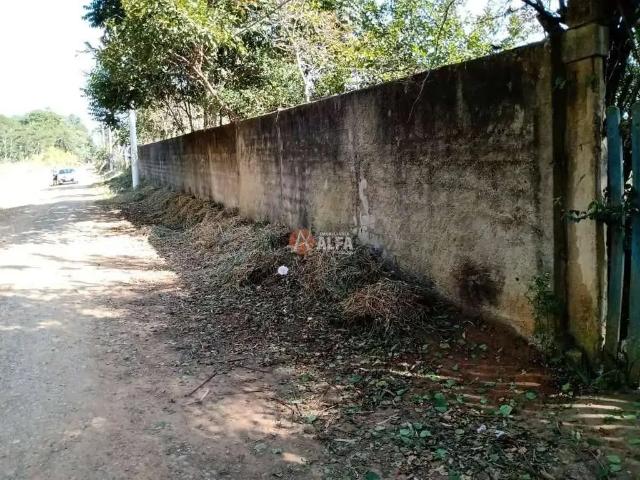 Terreno / Lote para Venda em Cotia/SP Jardim Santa Paula