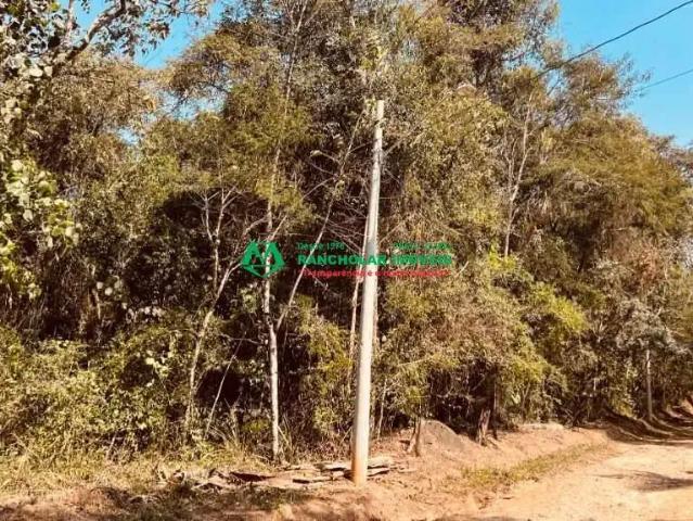 Terreno / Lote para Venda em Cotia/SP Jardim Santa Paula