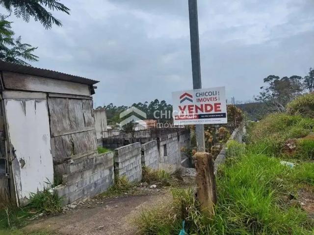 Terreno / Lote para Venda em Cotia/SP Jardim San Ressore Caucaia do Alto