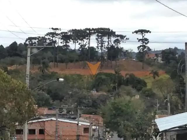 Terreno / Lote para Venda em Cotia/SP Jardim Sandra