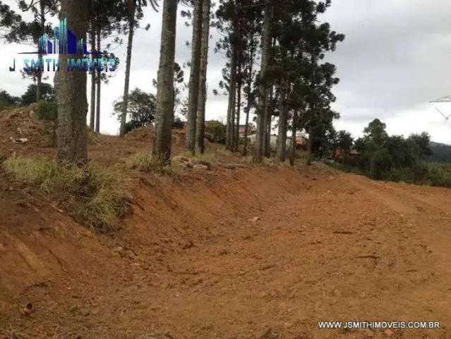 Terreno / Lote para Venda em Cotia/SP Jardim Sandra