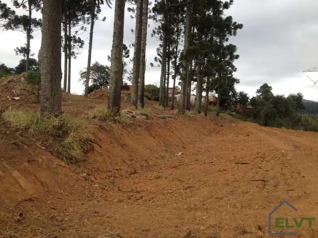 Terreno / Lote para Venda em Cotia/SP Jardim Sandra