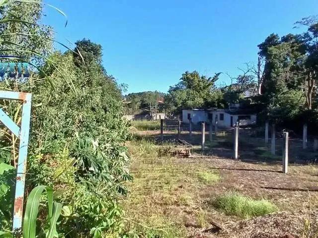 Terreno / Lote para Venda em Cotia/SP Jardim Sabiá