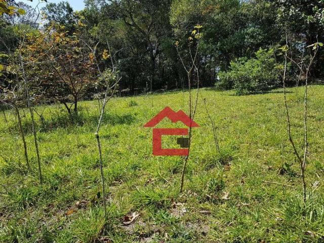 Terreno / Lote para Venda em Cotia/SP Paisagem Casa Grande