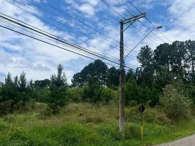 Terreno / Lote para Venda em Cotia/SP Paisagem Renoir