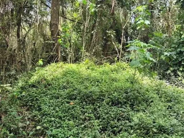 Terreno / Lote para Venda em Cotia/SP Parque Dom Henrique