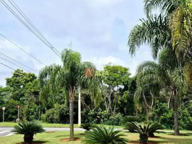 Terreno / Lote para Venda em Cotia/SP Parque Dom Henrique