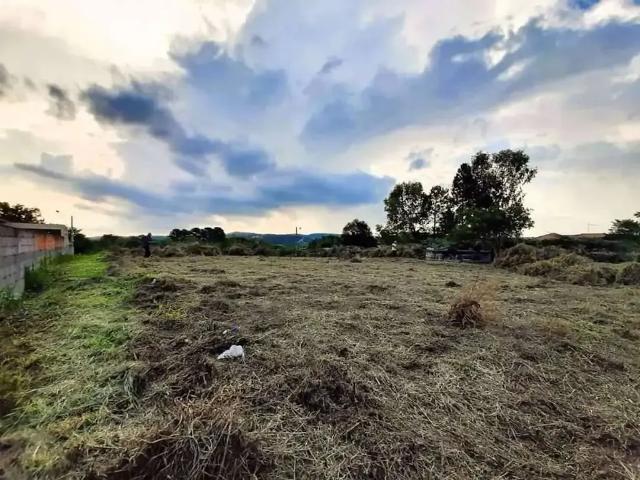 Terreno / Lote para Venda em Cotia/SP Parque Dom Henrique