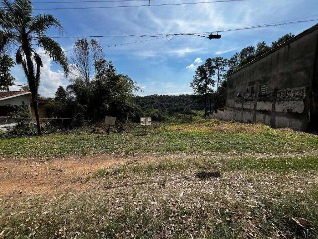 Terreno / Lote para Venda em Cotia/SP Parque Green Village