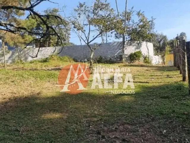 Terreno / Lote para Venda em Cotia/SP Parque Rizzo II