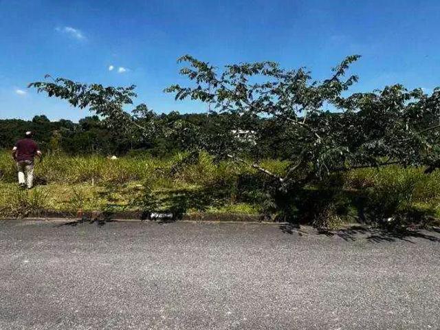 Terreno / Lote para Venda em Cotia/SP Pitas