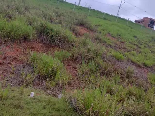 Terreno / Lote para Venda em Cotia/SP Portal Roselândia
