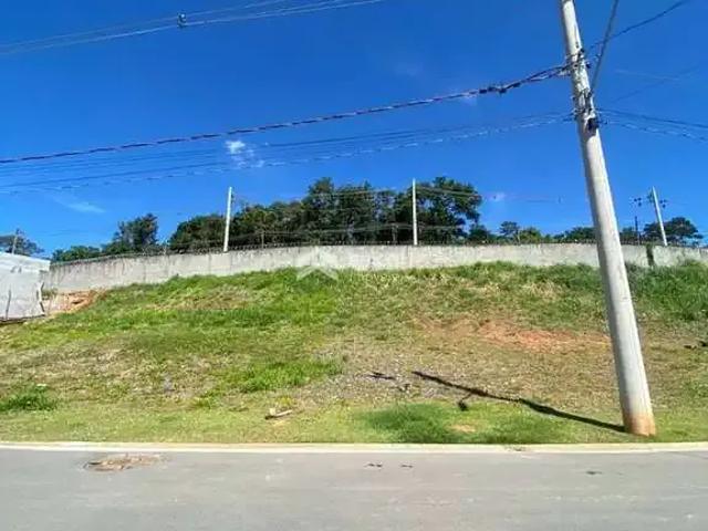 Terreno / Lote para Venda em Cotia/SP Quinta dos Angicos