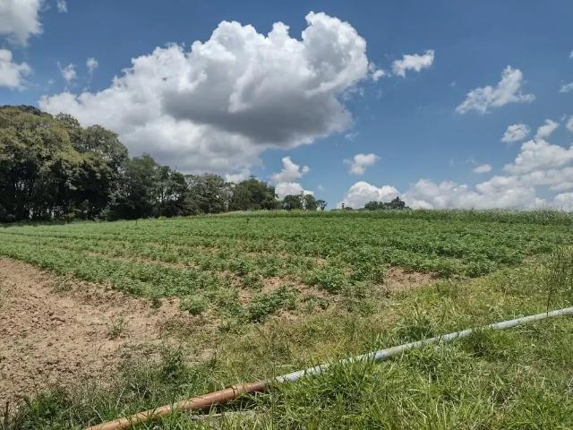 Terreno / Lote para Venda em Cotia/SP Recreio Topázio Caucaia do Alto