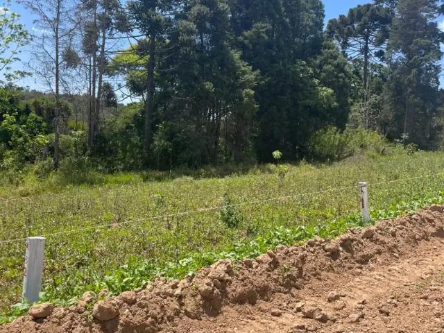 Terreno / Lote para Venda em Cotia/SP Recreio Topázio Caucaia do Alto