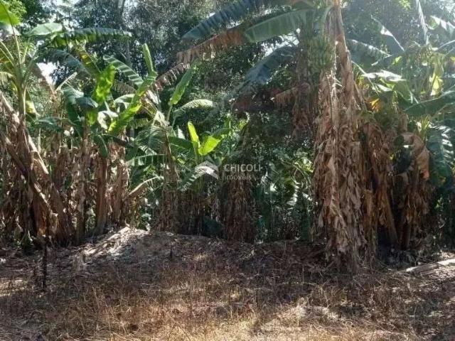 Terreno / Lote para Venda em Cotia/SP Santana