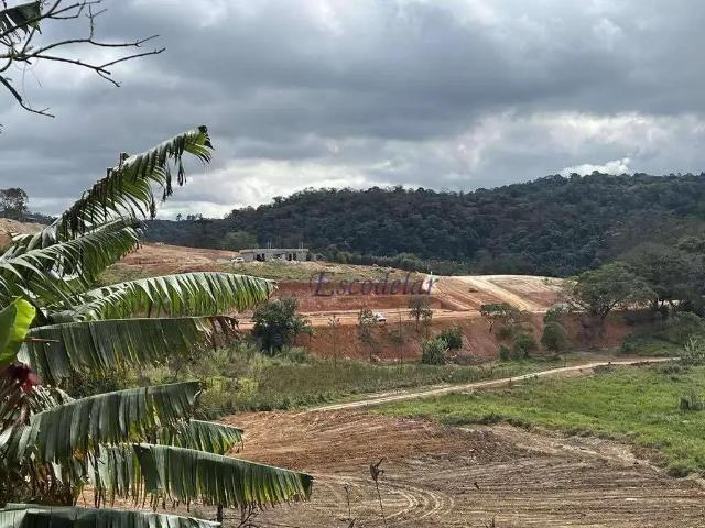 Terreno / Lote para Venda em Cotia/SP Taboleiro Verde