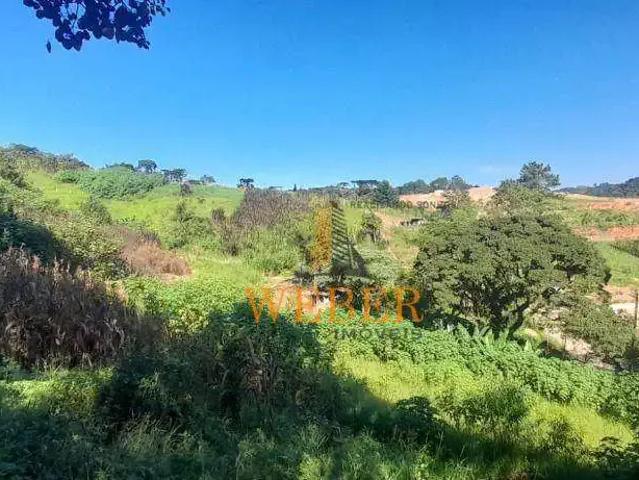 Terreno / Lote para Venda em Cotia/SP Taboleiro Verde