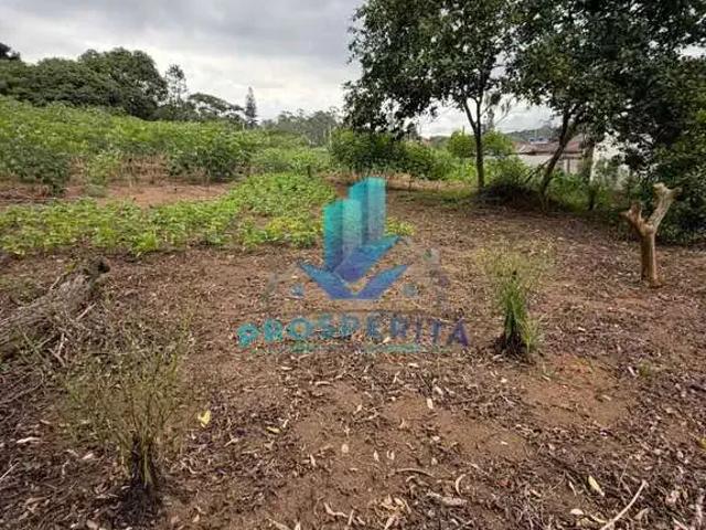Terreno / Lote para Venda em Cotia/SP Tijuco Preto