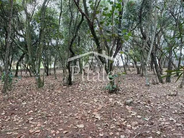 Terreno / Lote para Venda em Cotia/SP Vila de São Fernando
