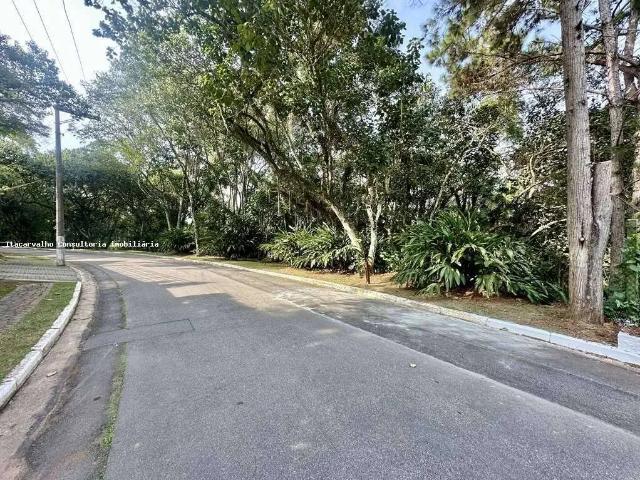 Terreno / Lote para Venda em Cotia/SP Vila de São Fernando