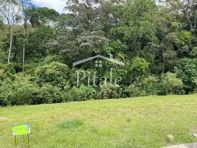 Terreno / Lote para Venda em Cotia/SP Vila Santo Antônio
