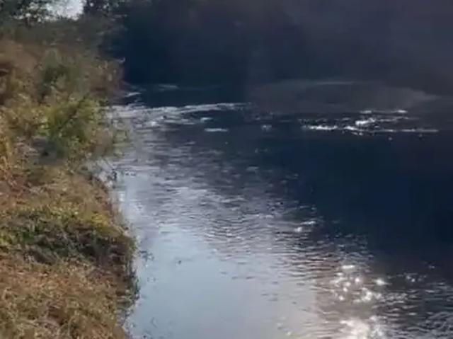 Terreno / Lote para Venda em Claraval/MG Centro