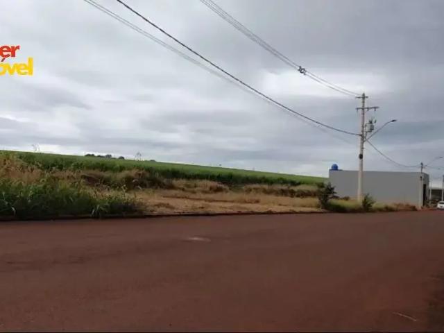 Terreno / Lote para Venda em Cravinhos/SP Bella Cravinhos II