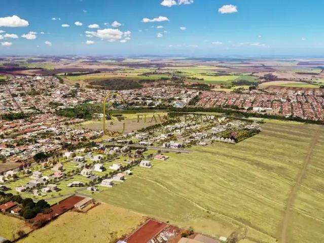 Terreno / Lote para Venda em Cravinhos/SP Centro